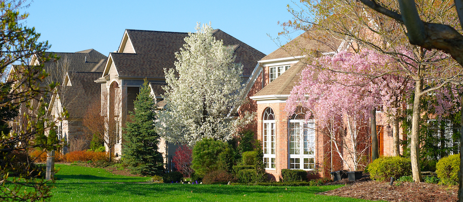 7 Things to Look For When Buying a Home in Spring - RE/MAX Canada